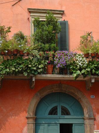 Balcony Garden in Historic Town Center, Verona, Italy Photographic ...