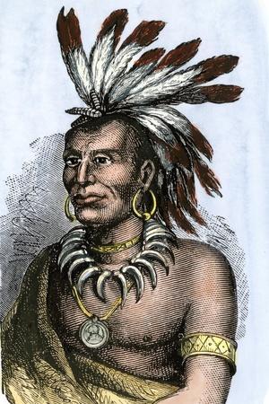 'Little Turtle, Chief of Miami Tribe' Giclee Print | Art.com