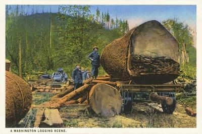'Logging Scene, Washington' Art Print | Art.com