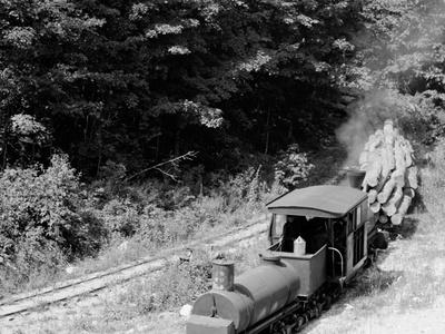 'Logging Train, Harbor Springs, Mich.' Photo | Art.com