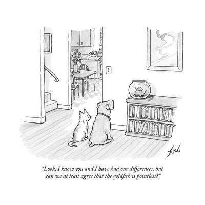 Social Differences Cartoons