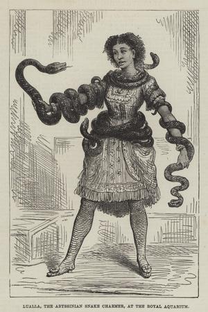 'Lualla, the Abyssinian Snake Charmer, at the Royal Aquarium' Giclee ...