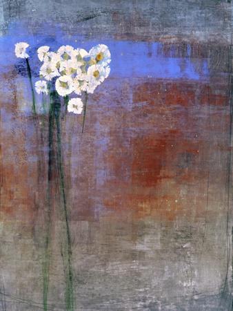 'Marguerites 1' Giclee Print - Maeve Harris | Art.com