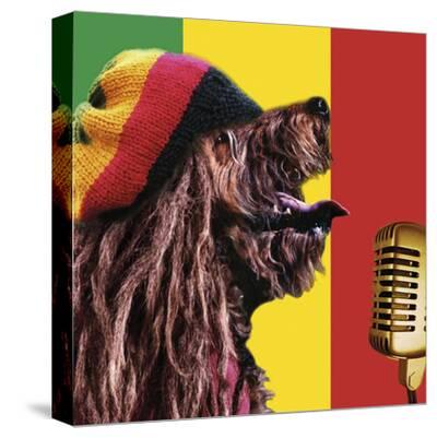 'Dog Marley' Stretched Canvas Print - Malcolm Sanders | Art.com