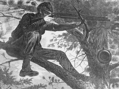 'Man Aiming Rifle from a Tree' Giclee Print | Art.com