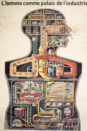 'Man as the Palace of Industry, from 'The Human Factory' by Doctor Kahn ...