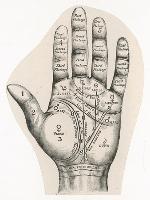 'Map of the Hand' Art Print | Art.com