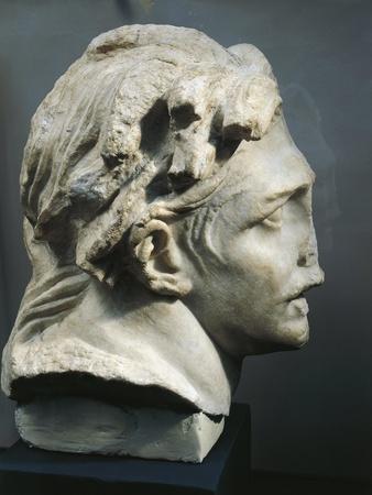 Marble Head of Gaul Giclee Print | Art.com