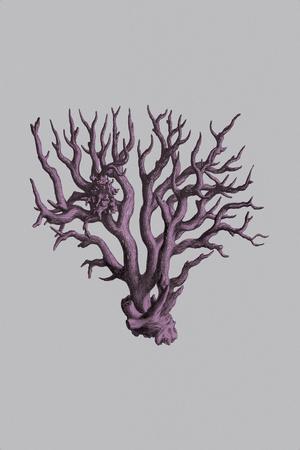 'Iridescent Coral III' Giclee Print - Maria Mendez | Art.com