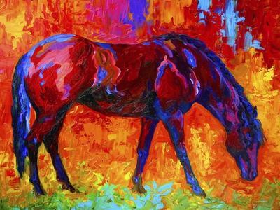 'Bay Mare II' Giclee Print - Marion Rose | Art.com