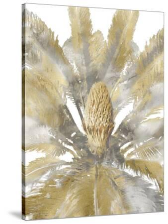 'Cycad - Crest' Stretched Canvas Print - Mark Chandon | Art.com