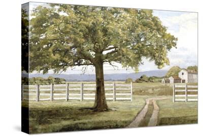 'Shady Tree' Stretched Canvas Print - Mark Chandon | Art.com