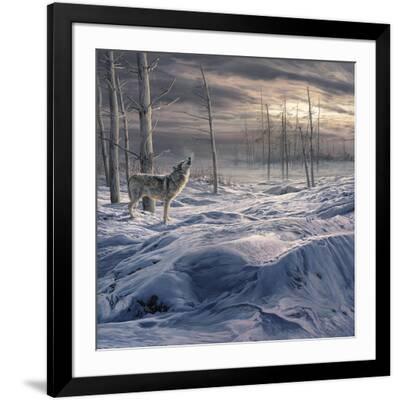 Howling Wolf (Gray Wolf) Framed Giclee Print - Martin Ridley | Art.com
