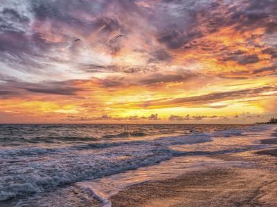 'Fiery Finish' Art Print - Mary Lou Johnson | Art.com