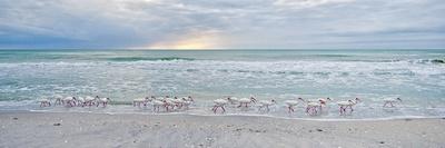 'Follow the Leader' Art Print - Mary Lou Johnson | Art.com