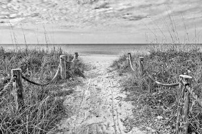 'Morning Has Broken (b/w)' Art Print - Mary Lou Johnson | Art.com