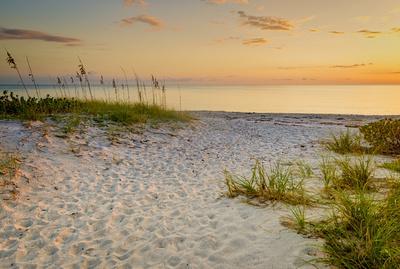 'Therapy' Art Print - Mary Lou Johnson | Art.com