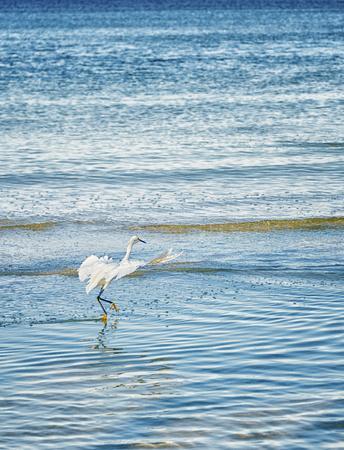 Wave Dancing Art Print - Mary Lou Johnson | Art.com