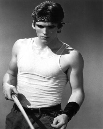 The Outsiders Matt Dillon