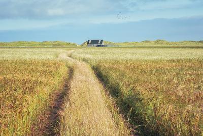 'Long Pathway' Giclee Print - Matt Roseveare | Art.com