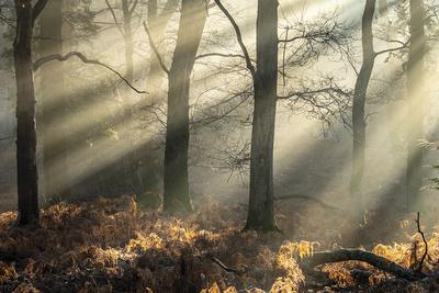 'Sublime Light' Giclee Print - Matt Roseveare | Art.com