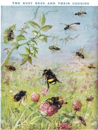 'The Busy Bees and their Cousins' Giclee Print - Maud Scrivener | Art.com