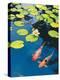 'Koi Pond II' Photographic Print - Maureen Love | Art.com