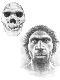 'Homo Heidelbergensis Skull And Face' Photographic Print - Mauricio ...