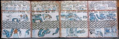 'Maya Codices. the Madrid Codex (Codex Tro-Cortesianus) . Postclassic ...