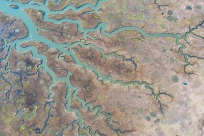 Meandering channels run through a beautiful estuary in Central ...
