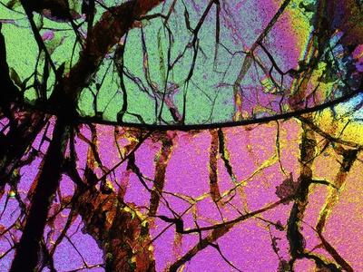 Meteorite Brenham, light micrograph Photographic Print | Art.com