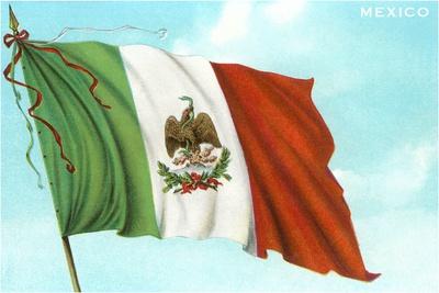 'Mexican Flag' Art Print | Art.com