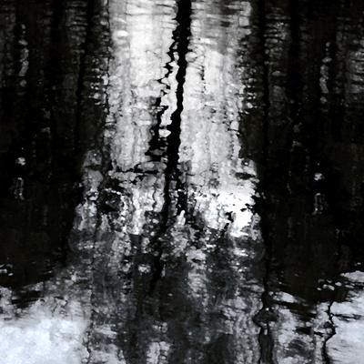 'Reflective' Photo - Michael Barrett | Art.com