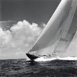 'Velsheda' Art Print - Michael Kahn | Art.com