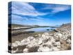 'The inner lagoon on Isla Rasa, an important nesting site for terns and ...