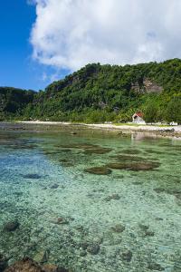 Beautiful Samoa artwork for sale, Posters and Prints | Art.com