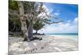 'White sand and turquoise water at Laura (Lowrah) beach, Majuro atoll ...