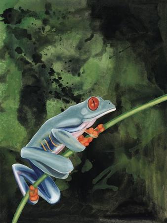 'Watercolor Tree Frogs IV' Art Print - Michael Willett | Art.com