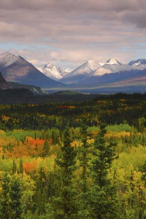Alaska Range in Autumn, Taiga, Tundra, Denali National Park, Alaska ...