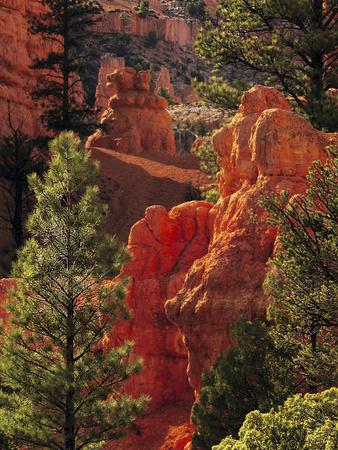 'Red Rock, Red Canyon, Utah, USA' Photographic Print - Michel Hersen ...