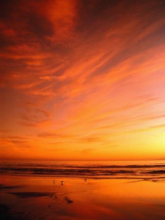 'Southern California Sunset at Beach' Photographic Print - Mick ...