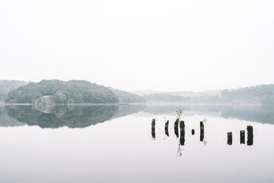 'Enchanting Echo' Giclee Print - Mikael Svensson | Art.com