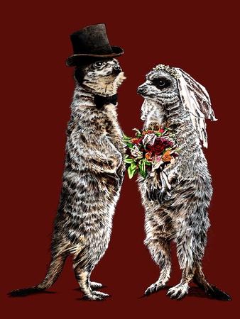 'Married Meerkats on Red Oxide, 2020, (Pen and Ink)' Giclee Print ...
