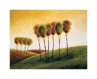 'Morning Luster I' Framed Art Print - Mike Klung | Art.com