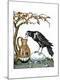 'Aesop: Crow and Pitcher' Giclee Print - Milo Winter | Art.com