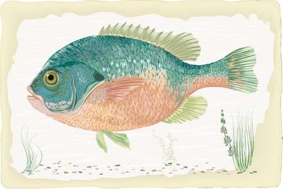 'Sunfish on Retro Style Background' Art Print - Milovelen | Art.com