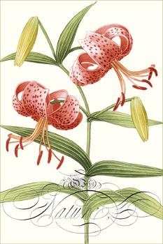 'Modern Atelier II' Art Print - Sarah Chilton | Art.com