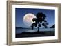 'Moon Rising Over the Sea' Photographic Print - Detlev Van Ravenswaay ...