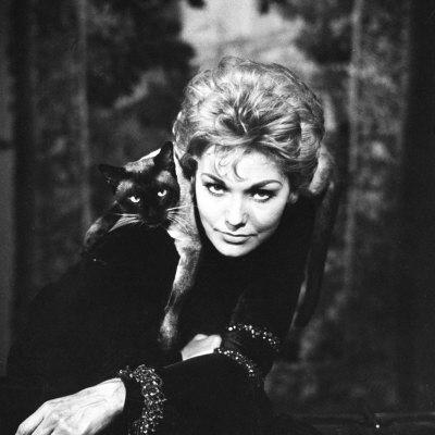 'Movie Actress Kim Novak with Siamese Cat During Filming of "Bell, Book ...