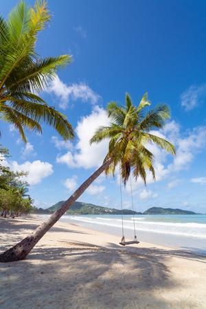 'Beautiful Sea Beach Coconut Tree' Photographic Print - MR BUDDEE ...